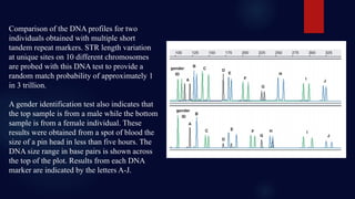 STR Analysis and DNA Typing in Forensic Science: Techniques, Steps ...