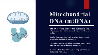 STR Analysis and DNA Typing in Forensic Science: Techniques, Steps ...