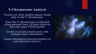 STR Analysis and DNA Typing in Forensic Science: Techniques, Steps ...