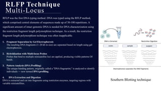 STR Analysis and DNA Typing in Forensic Science: Techniques, Steps ...