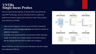 STR Analysis and DNA Typing in Forensic Science: Techniques, Steps ...