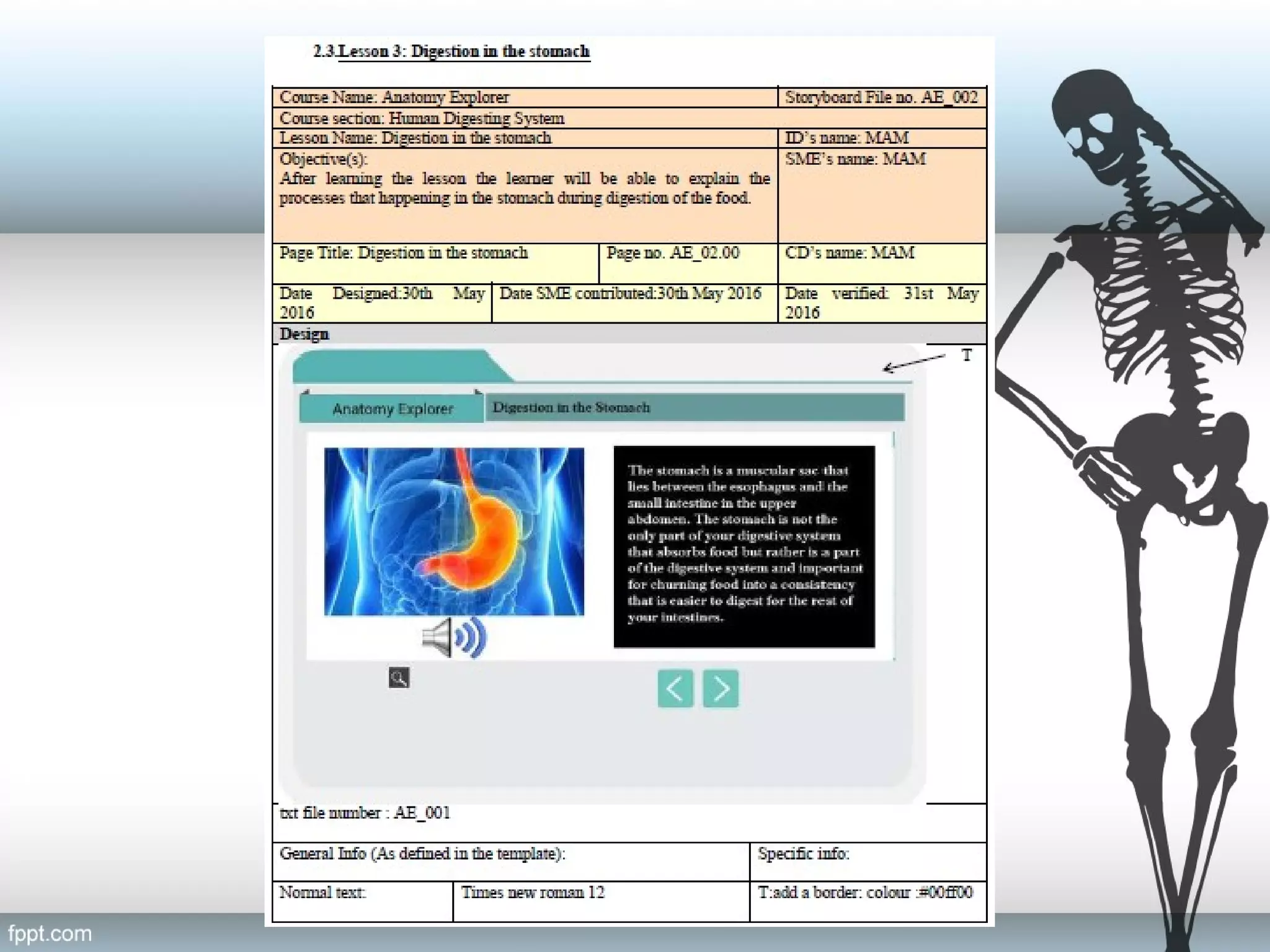 Anatomy Explorer | PPT