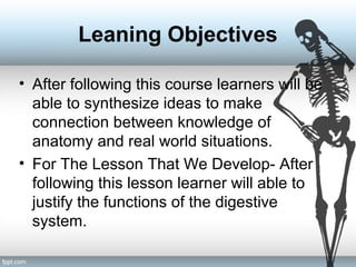 Anatomy Explorer | PPT