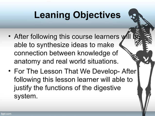 Anatomy Explorer | PPT