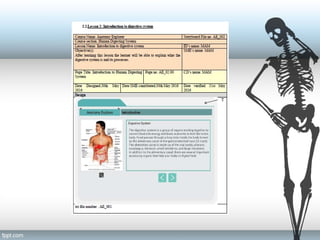 Anatomy Explorer | PPT