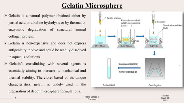 presentation on gelatin microsphere.pptx