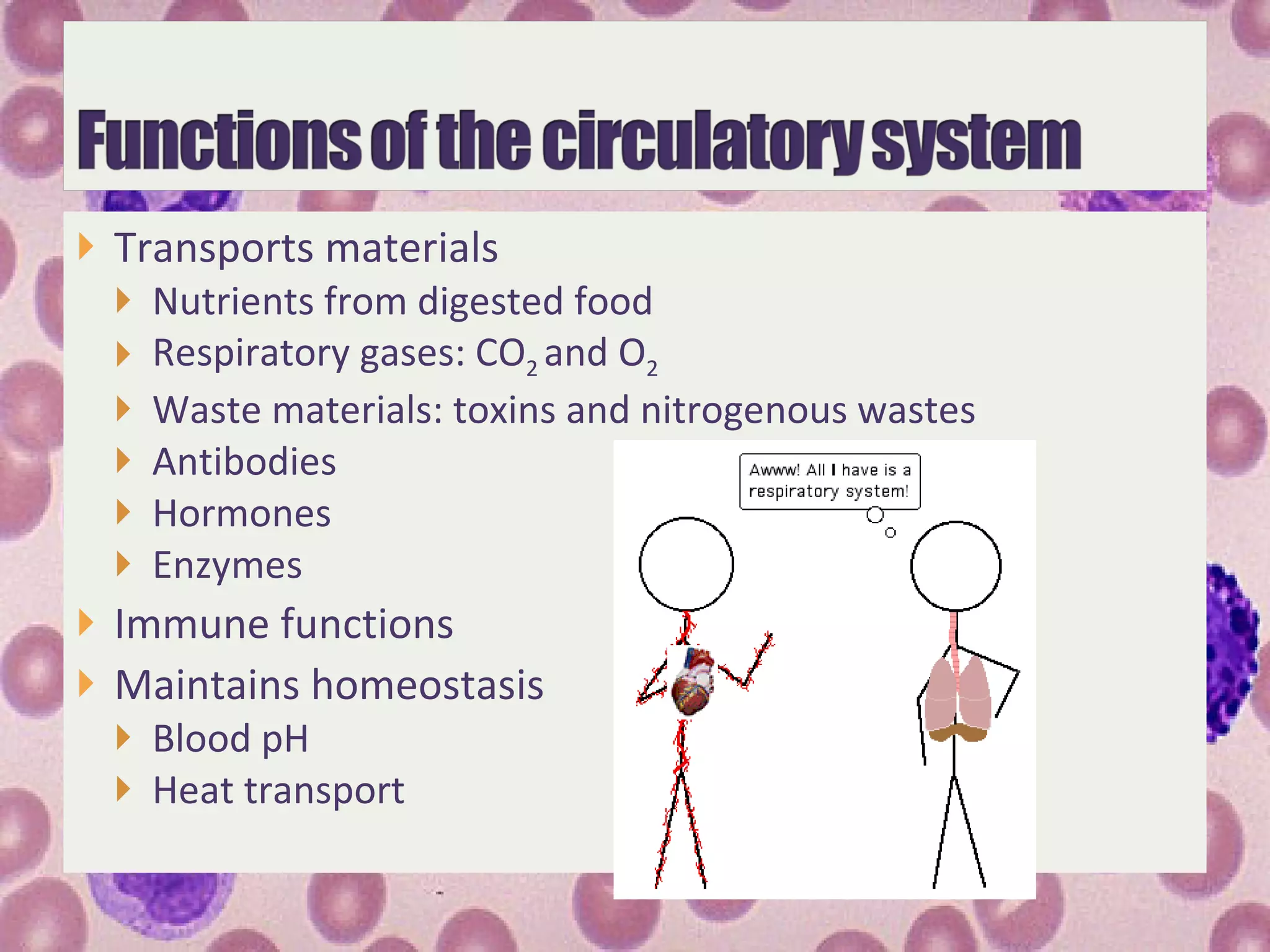 Presentation 07 - Animal Transport and Circulation | PPT