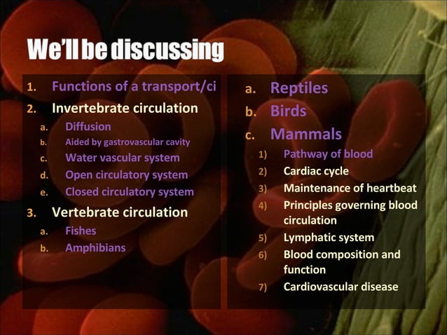 Presentation 07 - Animal Transport and Circulation | PPT | Biological Sciences | Science