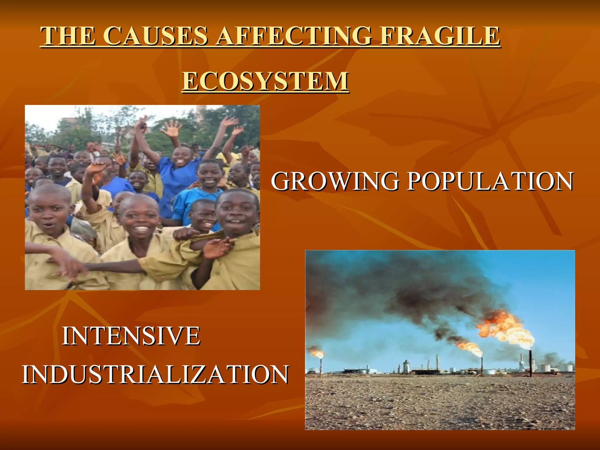 Fragile Ecosystem | PPT