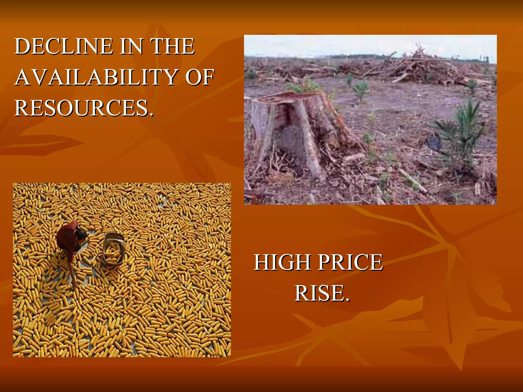 Fragile Ecosystem | PPT