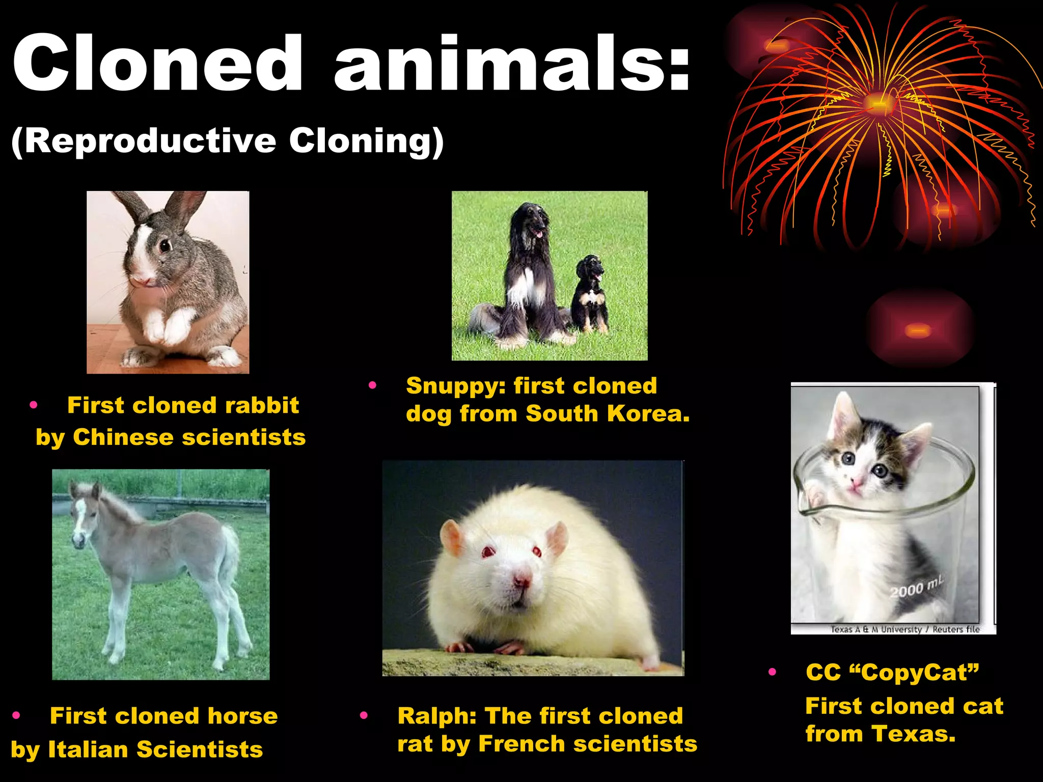 Cloning Presentation | PPT