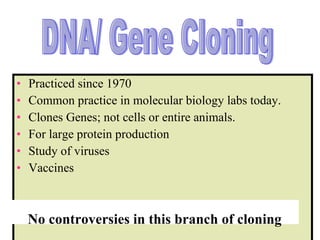 Cloning Presentation | PPT