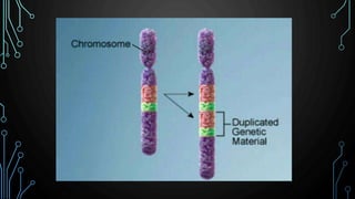 chromosomal aberrations and changes in the structure of chromosomes | PPTX