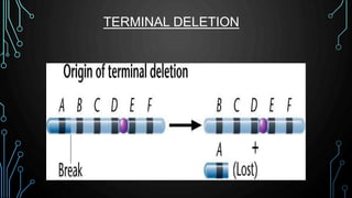 chromosomal aberrations and changes in the structure of chromosomes | PPTX