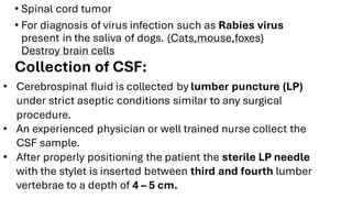 Presentation-1.pdfcjsjs js hisbsiks sowgwjks | PPT