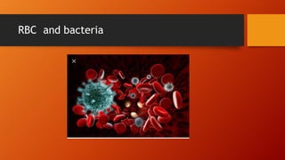 Presentationthe y on- in me know if 1.pdf