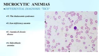 Anemia in pregnancy , definition , causes , pathogenesis, management ...