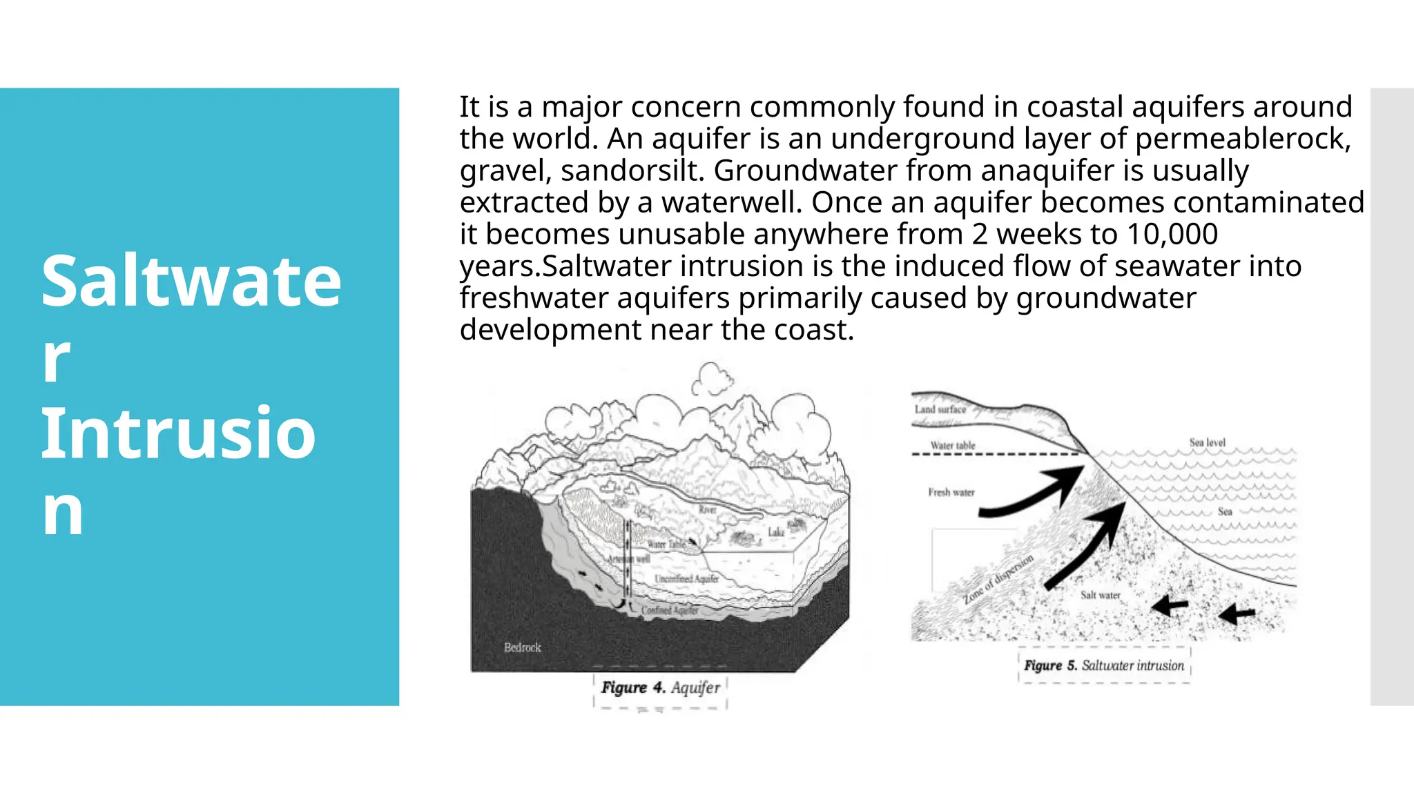 Marine & Coastal Processes Presentation.pptx