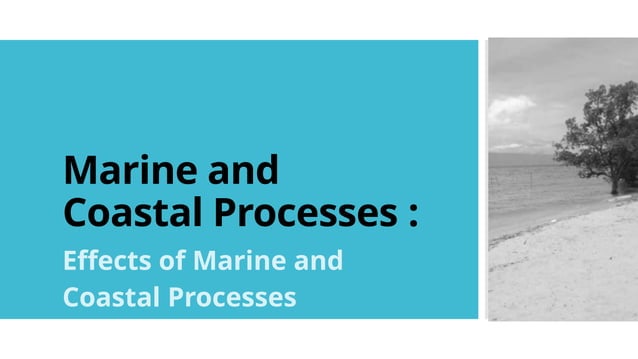 Marine & Coastal Processes Presentation.pptx | Geology | Science