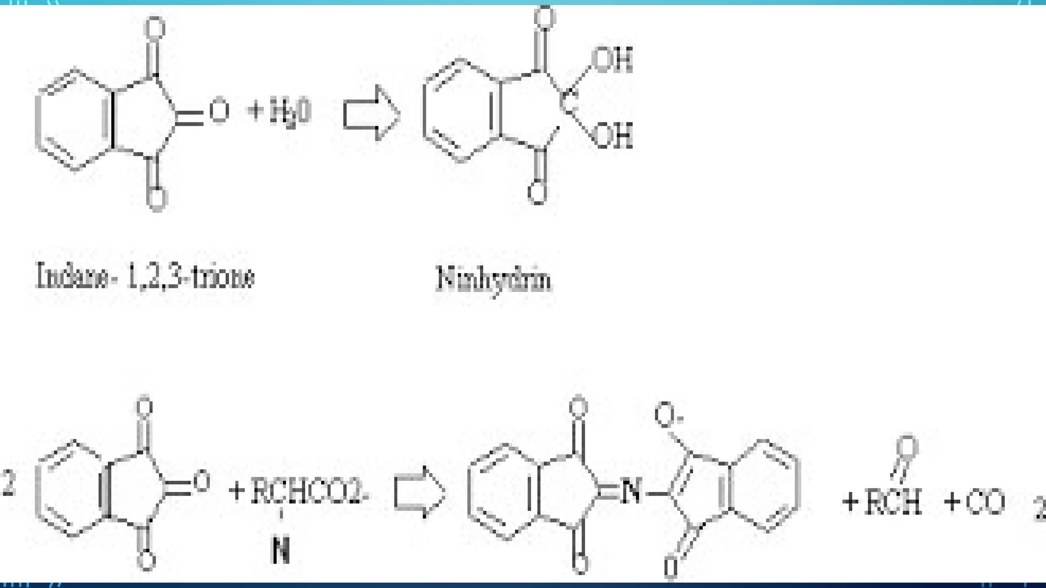 A presentation on the Ninhydrin Reactions | PPTX