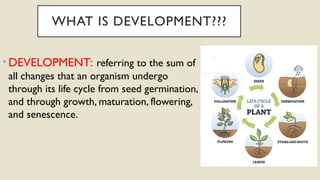 PLANT GROWTH ANALYSIS FOR THE AGRICULTURE STUDENTS | PPTX