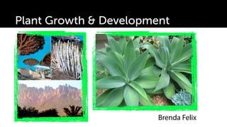 Plant Growth & Development | PDF
