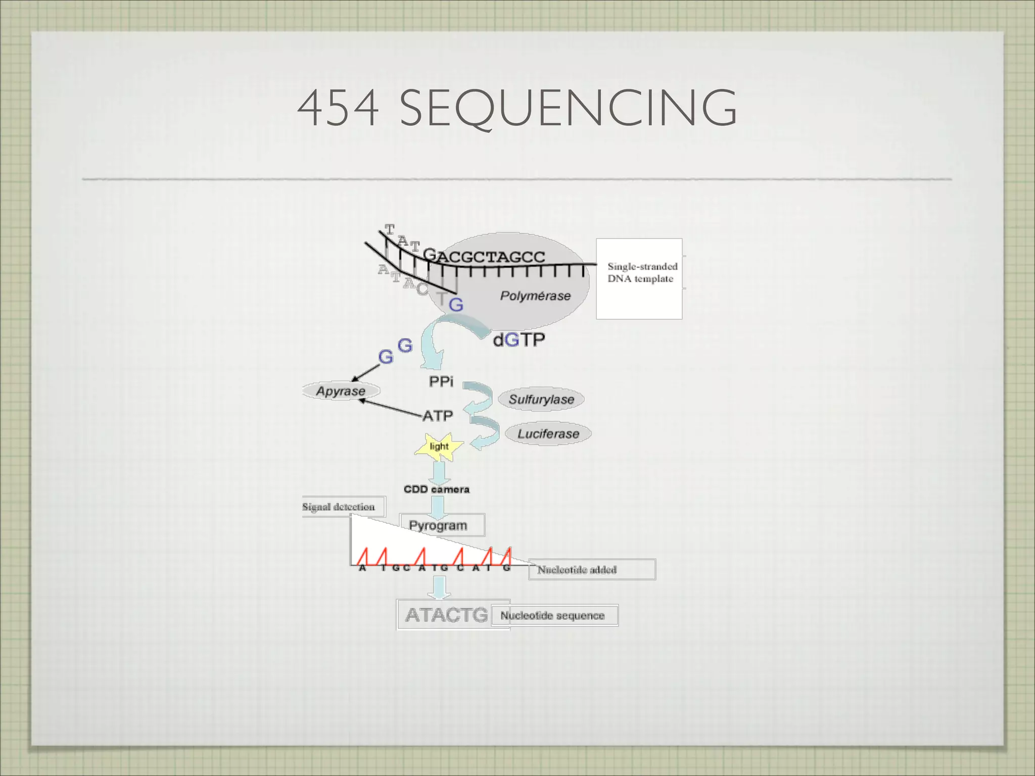 Next Generation Sequencing & Transcriptome Analysis | PPT