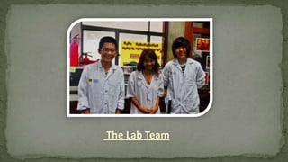 Mahidol Intership Powerpoint | PPTX | Chemistry | Science