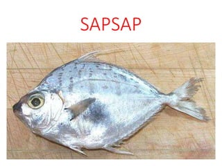 Presentation 1[1] | PPT