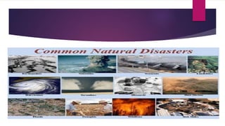 Presentation-1 (1).pptx