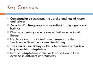 Presentation 12 - Osmoregulation And Excretion | PPT