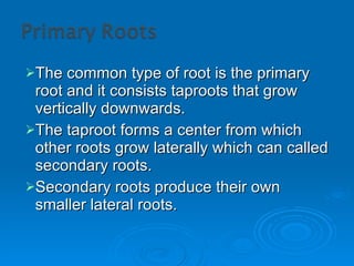 Presentation | PPT | Gardening | Home & Garden