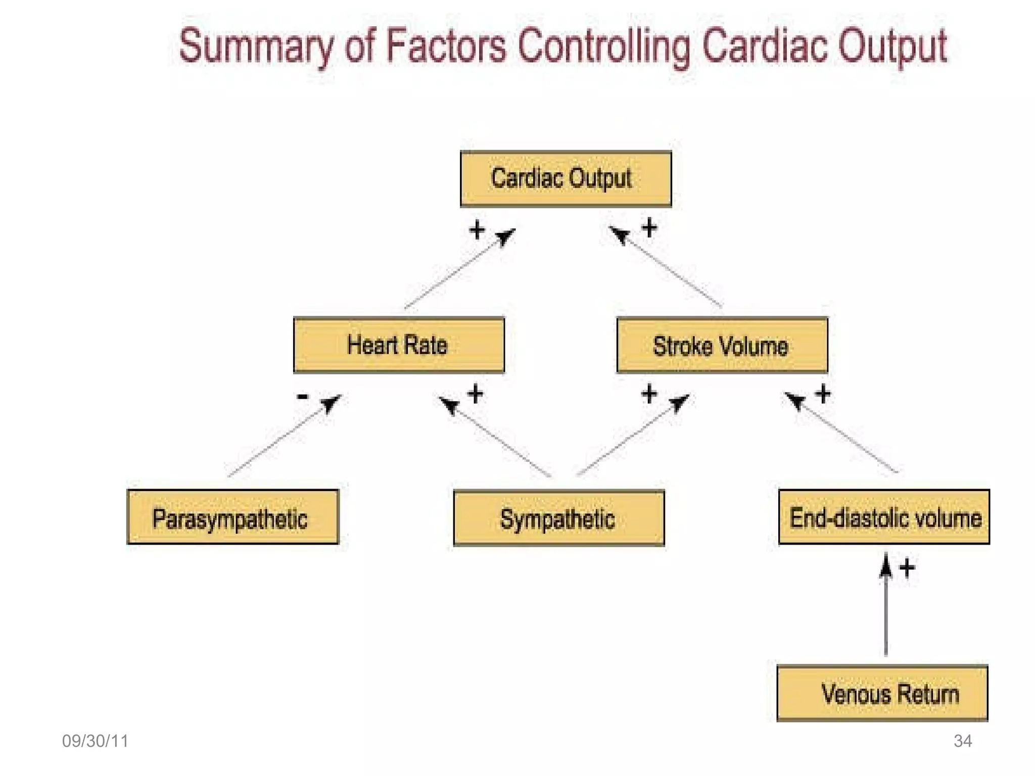 regulation of cardiac out put | PPT