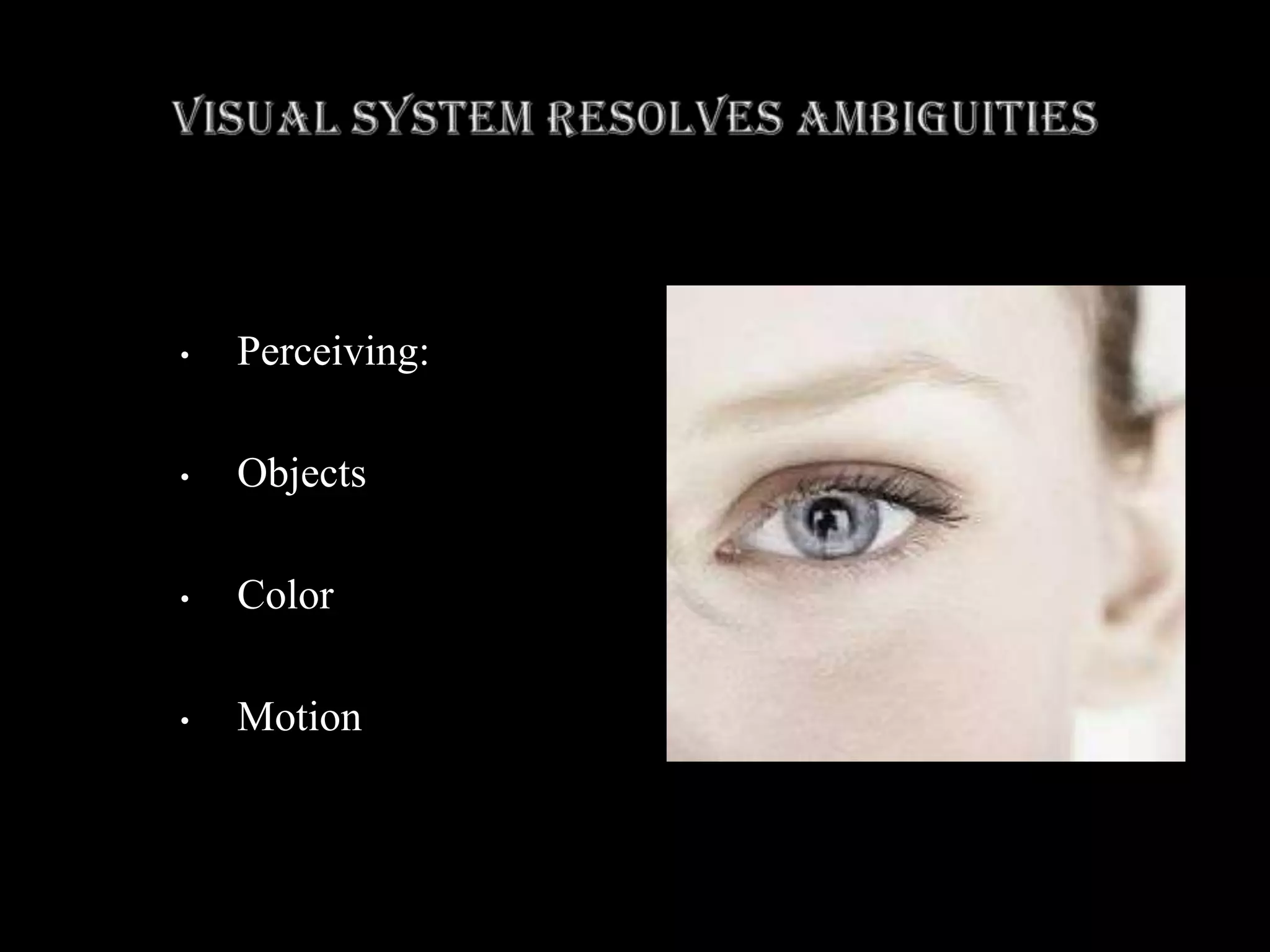 Visual Ambiguity Presentation | PPT