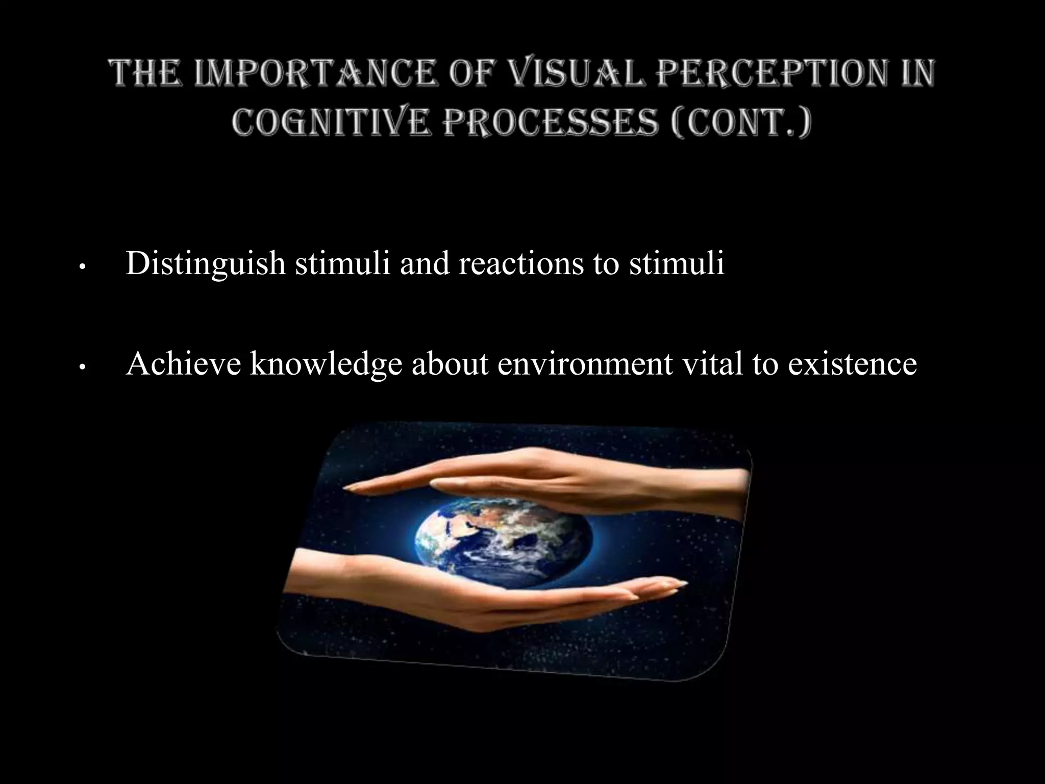 Visual Ambiguity Presentation | PPTX