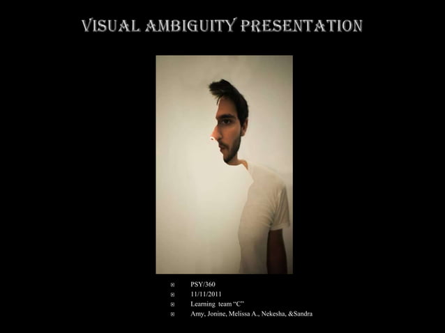 Visual Ambiguity Presentation | PPTX