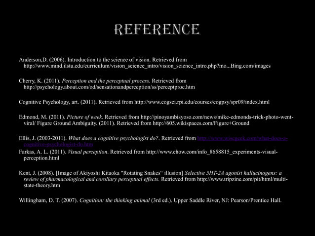 Visual Ambiguity Presentation | PPTX