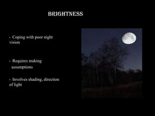 Visual Ambiguity Presentation | PPTX