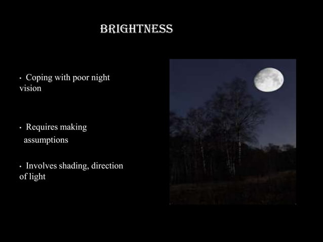 Visual Ambiguity Presentation | PPTX