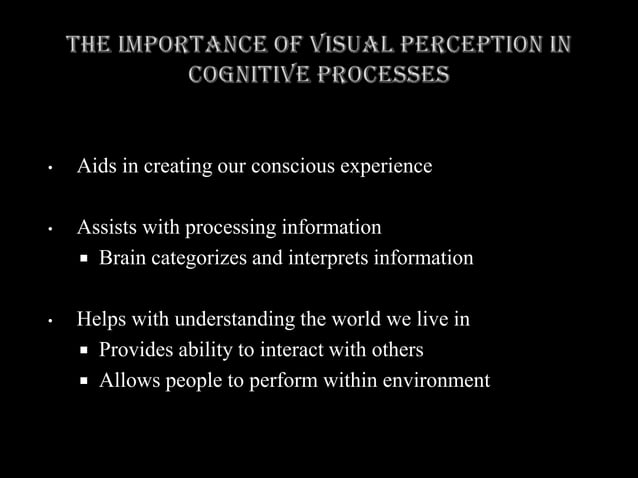 Visual Ambiguity Presentation | PPTX