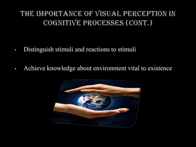 Visual Ambiguity Presentation | PPTX