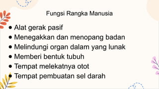 Presentation sistem rangka - 11th grade.pptx