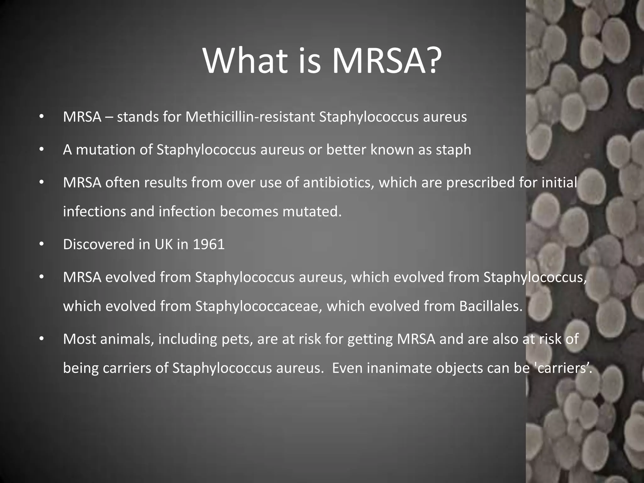 MRSA - Mobius Human Disease Project | PPT