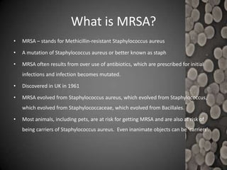 MRSA - Mobius Human Disease Project | PPT