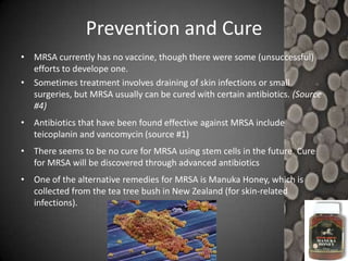 MRSA - Mobius Human Disease Project | PPT