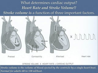 Hemodynamics and Shock | KEY