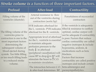 Hemodynamics and Shock | KEY