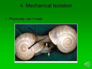 Lesson Presentation | PPT