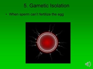 Lesson Presentation | PPT