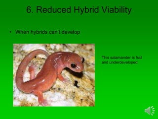 Lesson Presentation | PPT